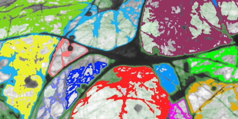 Robert G. Kalb Laboratory